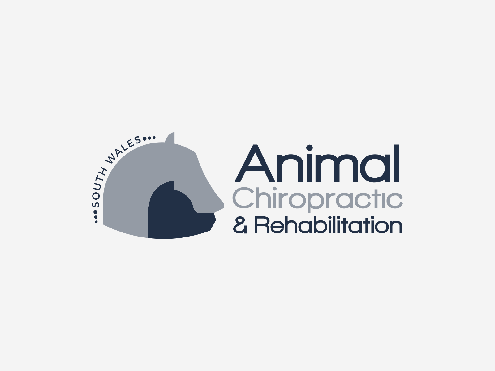 Animal Chiropractor South Wales | Animal Chiro